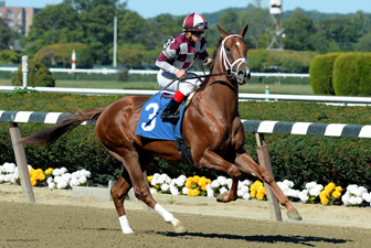 THOROUGHBRED RACING PHOTOS BY EQUINE PHOTO-ART 2013 PAGE