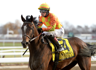 THOROUGHBRED RACING PHOTOS BY EQUINE PHOTO-ART 2013 PAGE