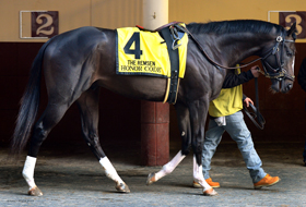 THOROUGHBRED RACING PHOTOS BY EQUINE PHOTO-ART 2013 PAGE