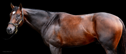 THOROUGHBRED RACING PHOTOS BY EQUINE PHOTO-ART 2013 PAGE