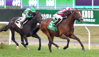THOROUGHBRED RACING PHOTOS BY EQUINE PHOTO-ART 2015 PAGE