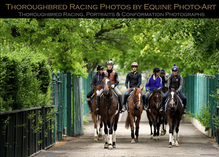 THOROUGHBRED RACING PHOTOS BY EQUINE PHOTO-ART 2003 PAGE