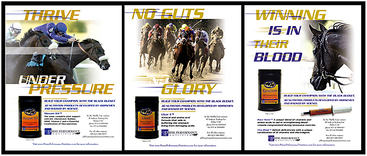 THOROUGHBRED RACING PHOTOS BY EQUINE PHOTO-ART ORDER PAGE